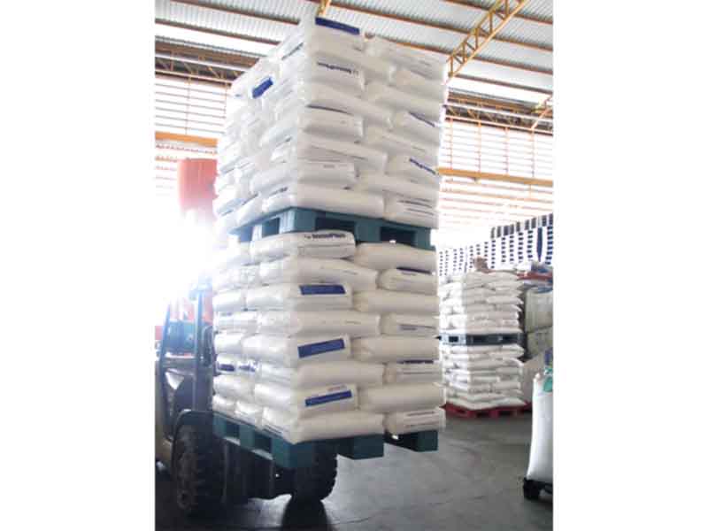 EHS 1212 RBH18 Plastic Pallet